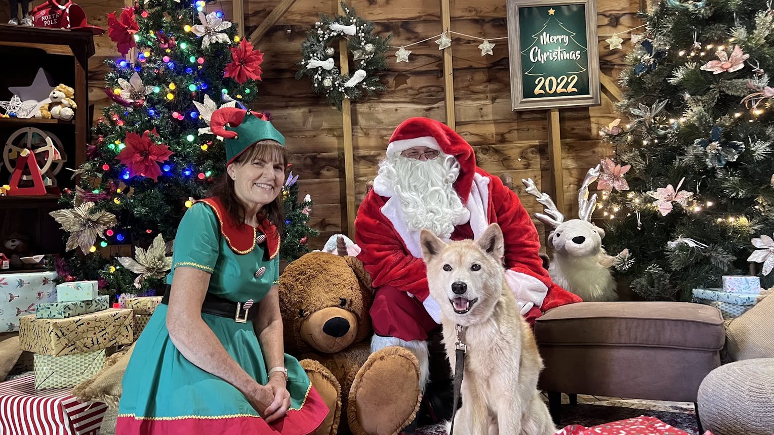 Where To Get Santa Photos In Perth This Christmas 2025 | URBAN LIST ...