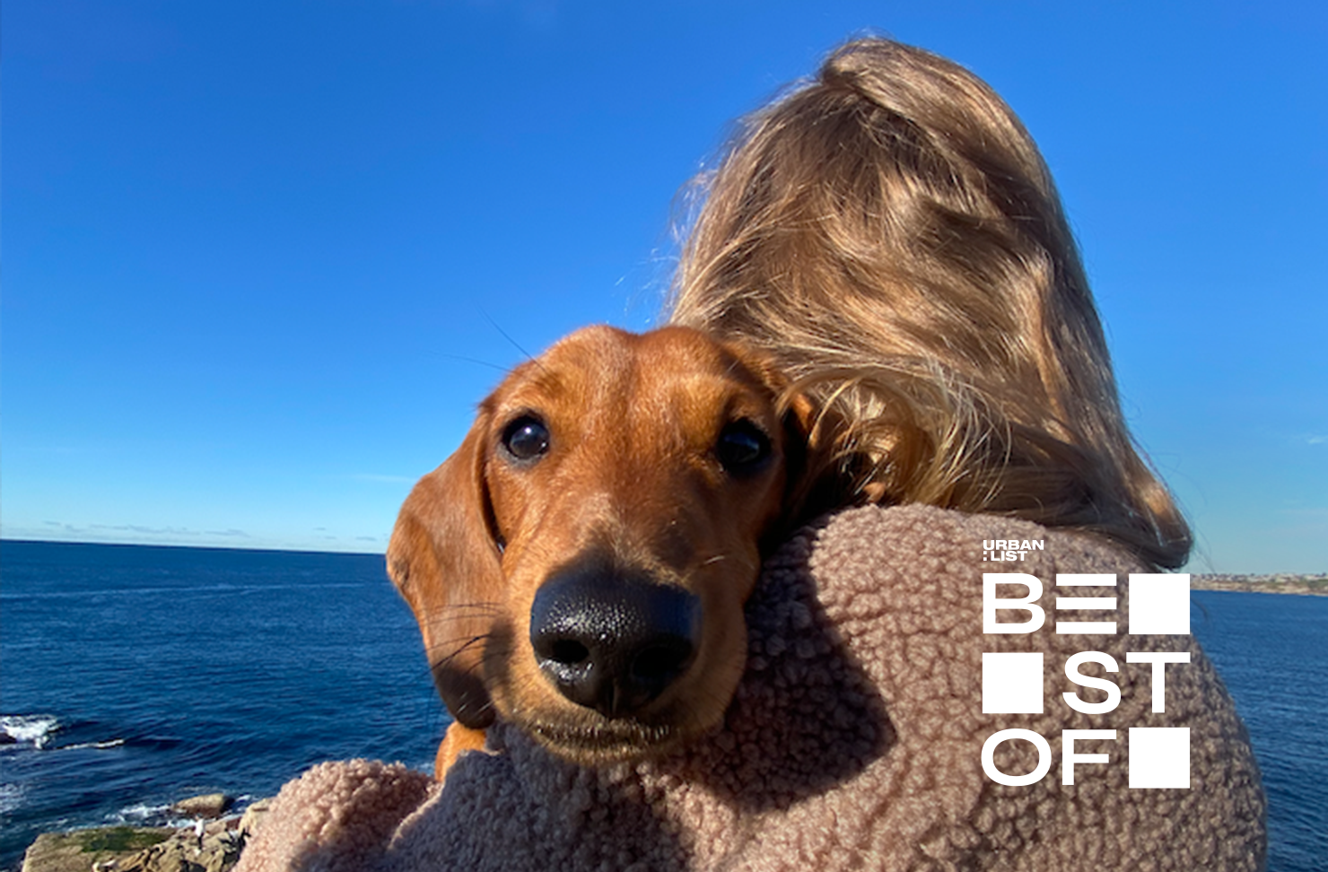 Pets | URBAN LIST PERTH