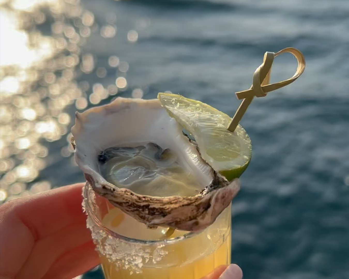 The Best Oyster Happy Hours In Sydney | URBAN LIST SYDNEY