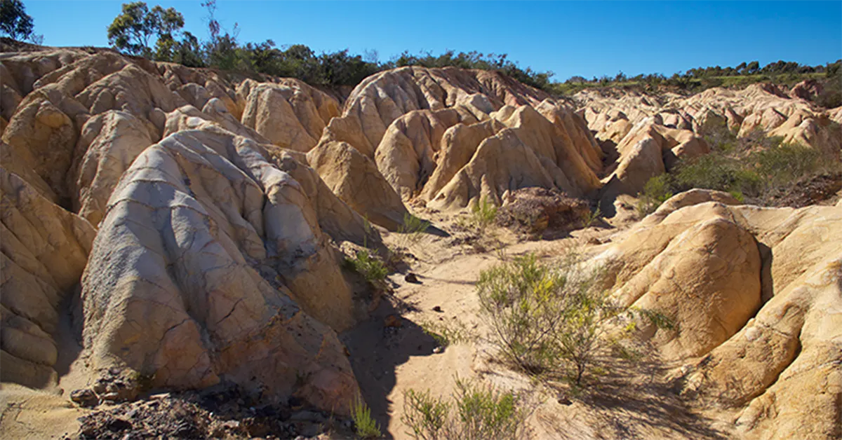 Take Off On The Ultimate Heathcote Roadtrip This Weekend | URBAN LIST ...