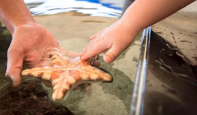 The Best Things To Do With Kids In Perth When It’s Raining | URBAN LIST ...