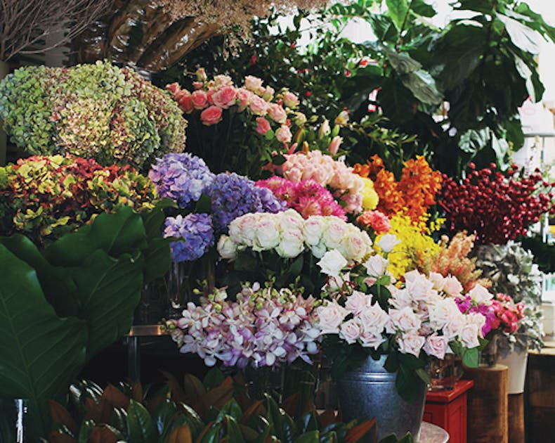 Seed Flora | URBAN LIST SYDNEY