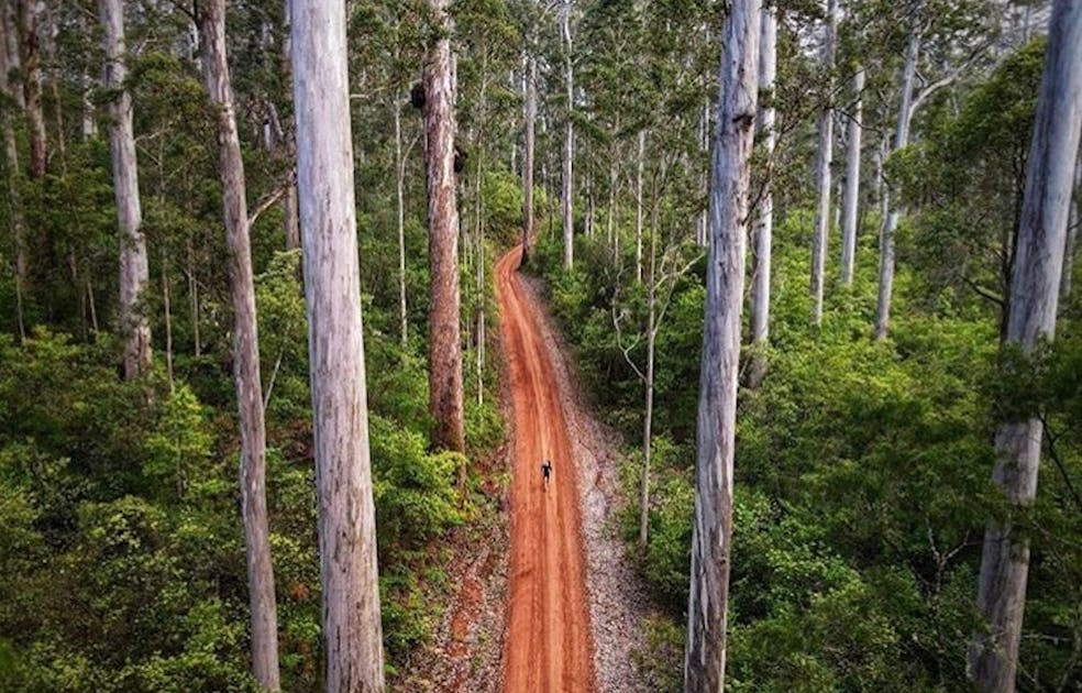 The Best Things To Do In Pemberton And The Southern Forests | URBAN ...