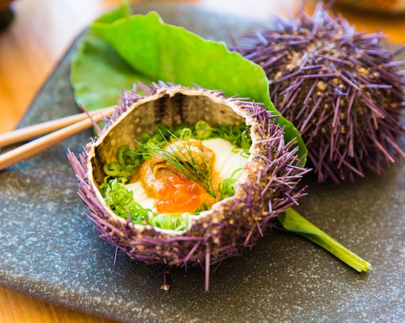 Shinoki | URBAN LIST MELBOURNE