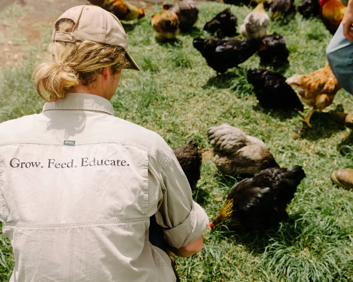 Your 2026 Guide to The Farm Byron Bay: Where to Eat, Shop & Explore ...
