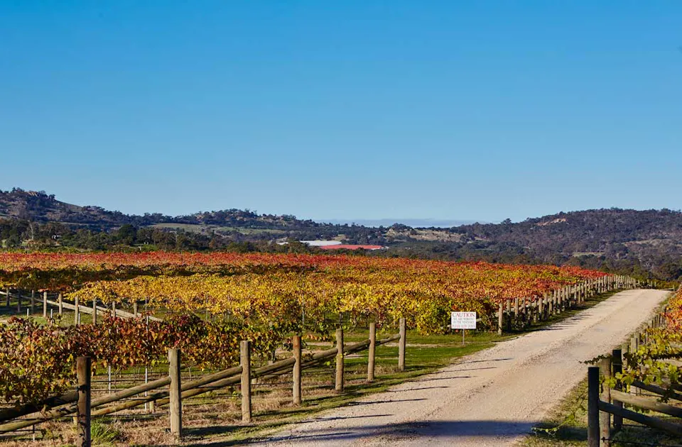 Things To Do In Regional Victoria | URBAN LIST MELBOURNE