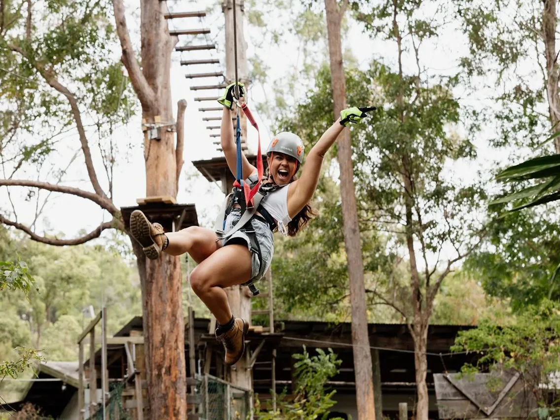 15 Of The Best Things To Do In Tamborine Mountain (Updated 2026 ...