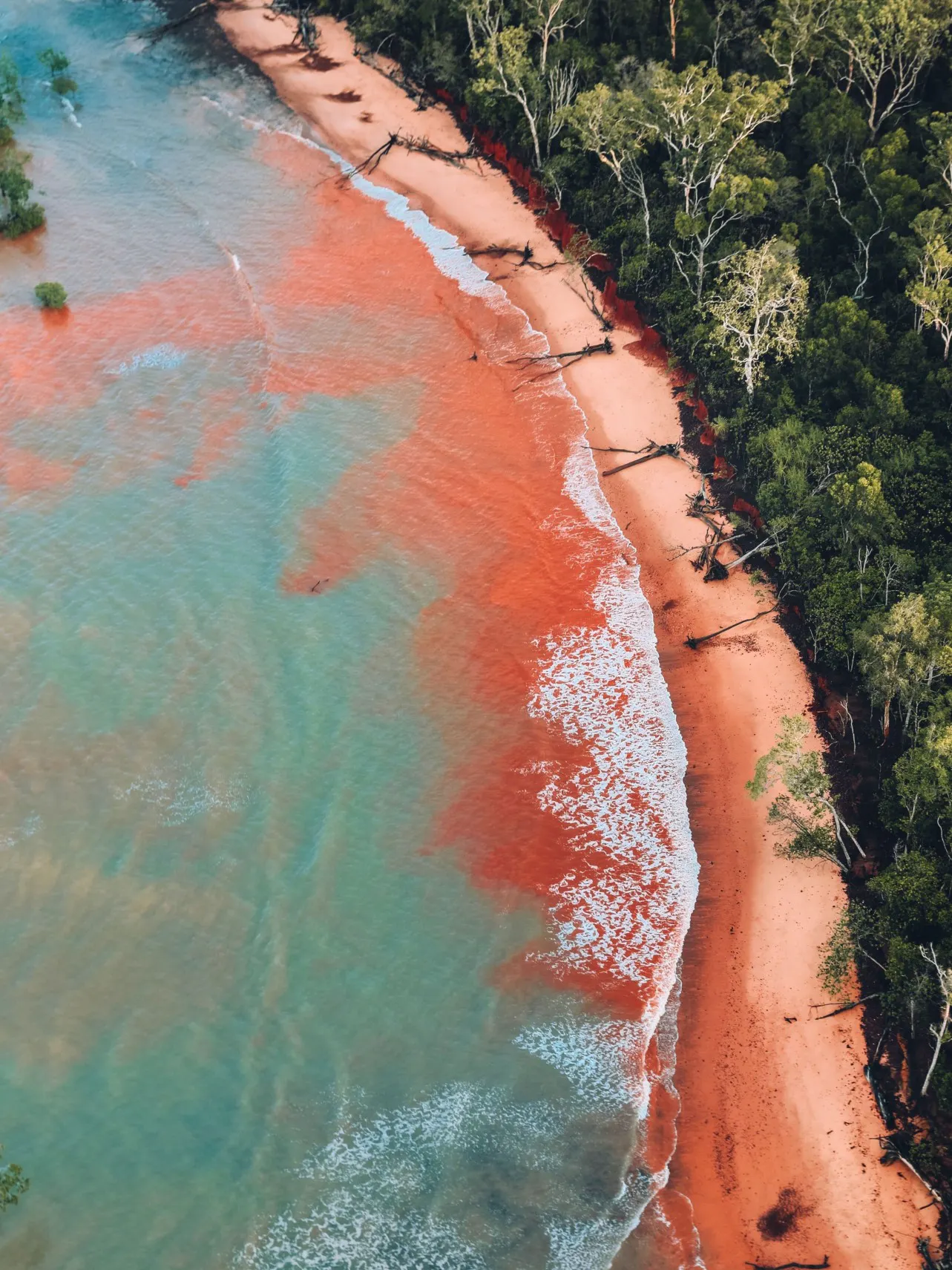 The Ultimate Guide To The Tiwi Islands | URBAN LIST