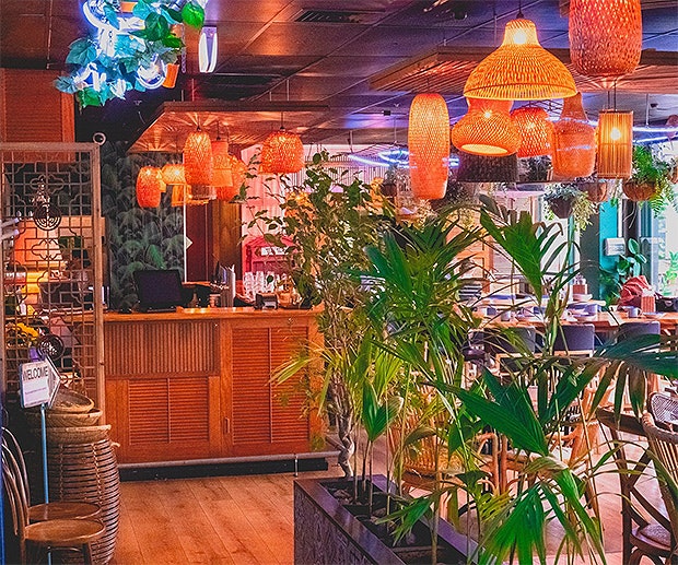 TOK TOK | URBAN LIST AUCKLAND