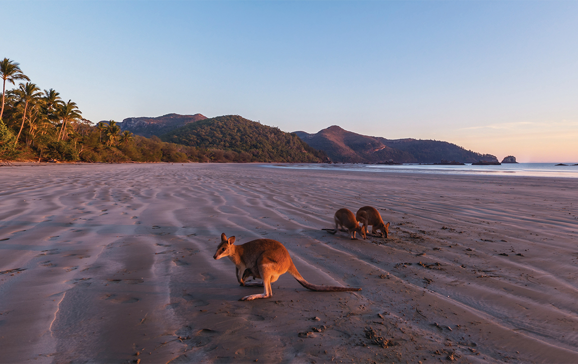 7 Of The Most Unique Places To Visit In Queensland | URBAN LIST GOLD COAST