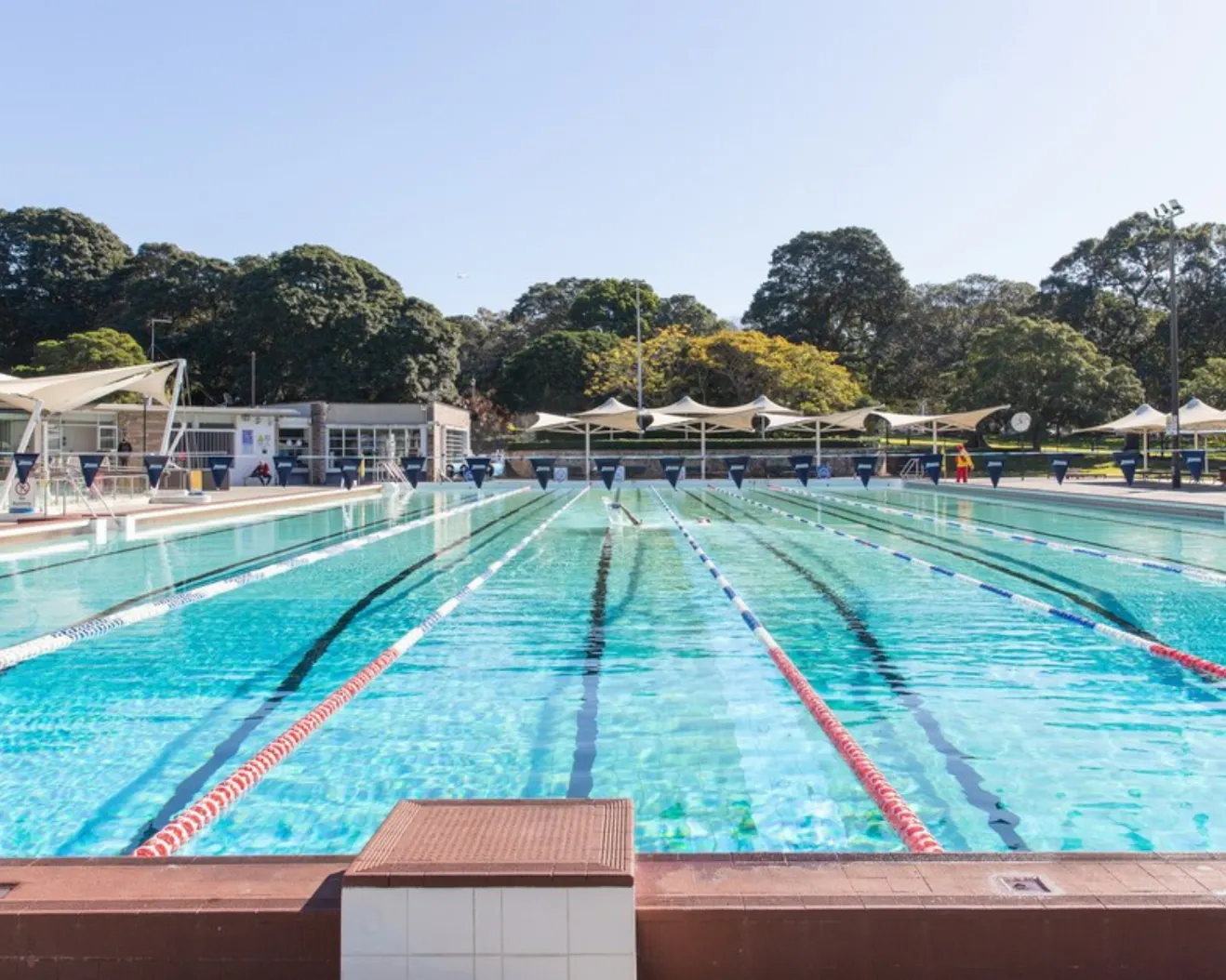 The Best Outdoor Swimming Pools In Sydney For Summer Dipping | URBAN ...