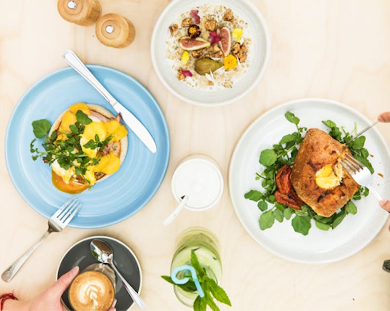 The Walrus | URBAN LIST SYDNEY