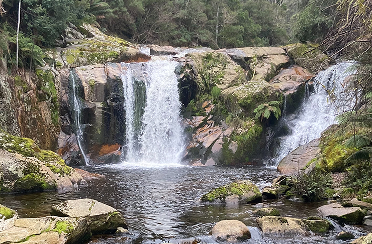 Best Waterfalls To See In Victoria | 2020 | URBAN LIST MELBOURNE