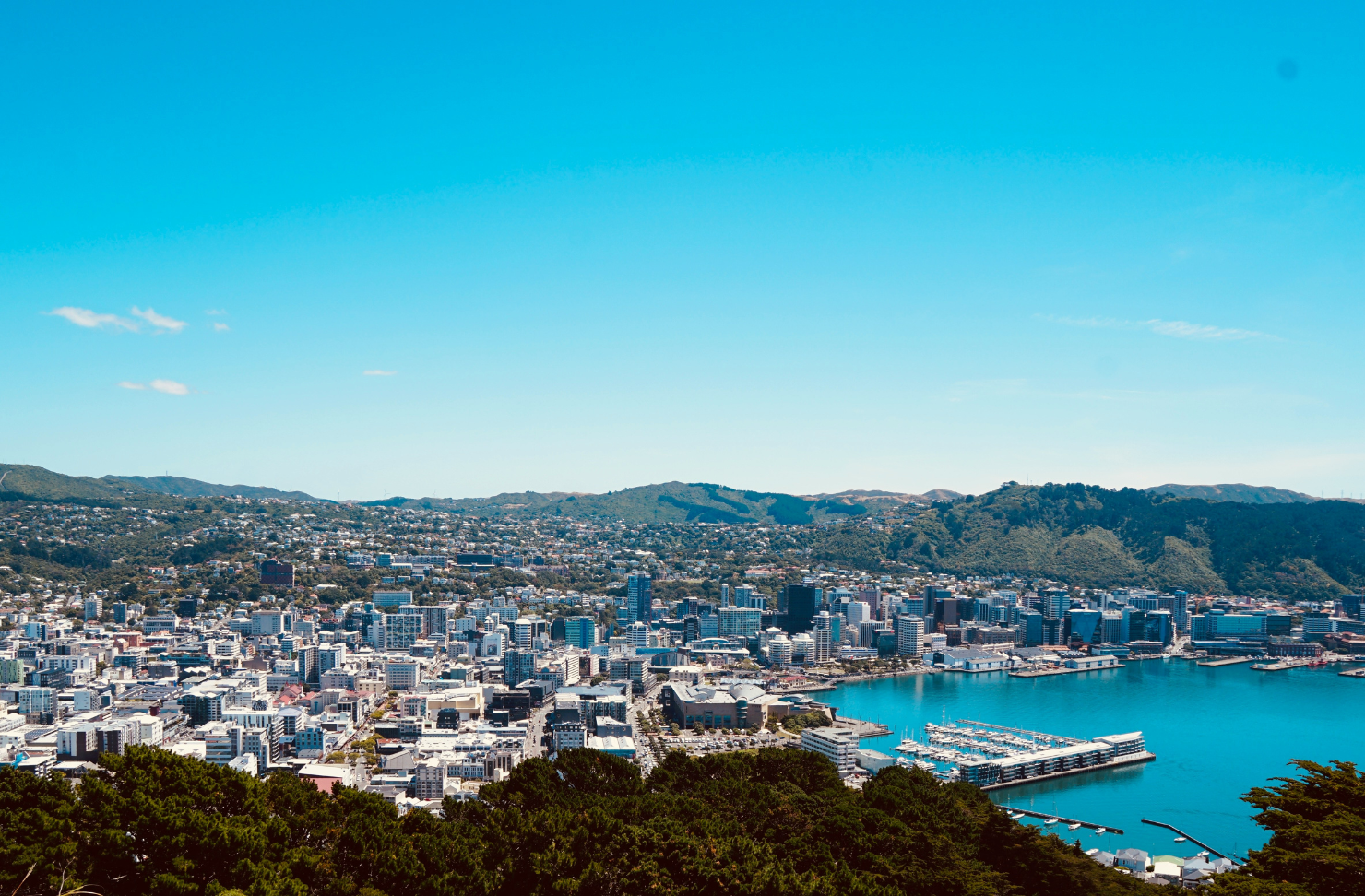 What’s On In Wellington In 2026 (Updated March 2026) | URBAN LIST ...