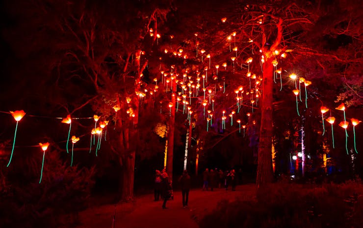 Lightscape Is Coming To Brisbane This Year | URBAN LIST BRISBANE