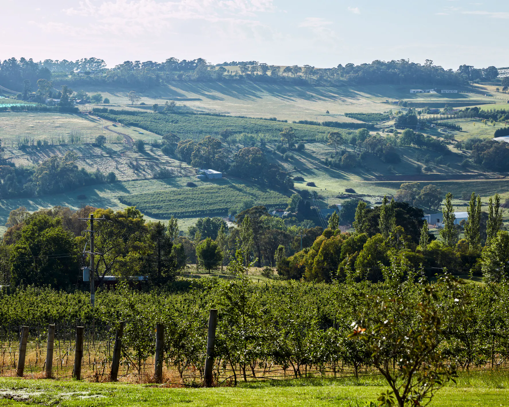 The Best Wineries In Orange NSW In 2026 | URBAN LIST SYDNEY