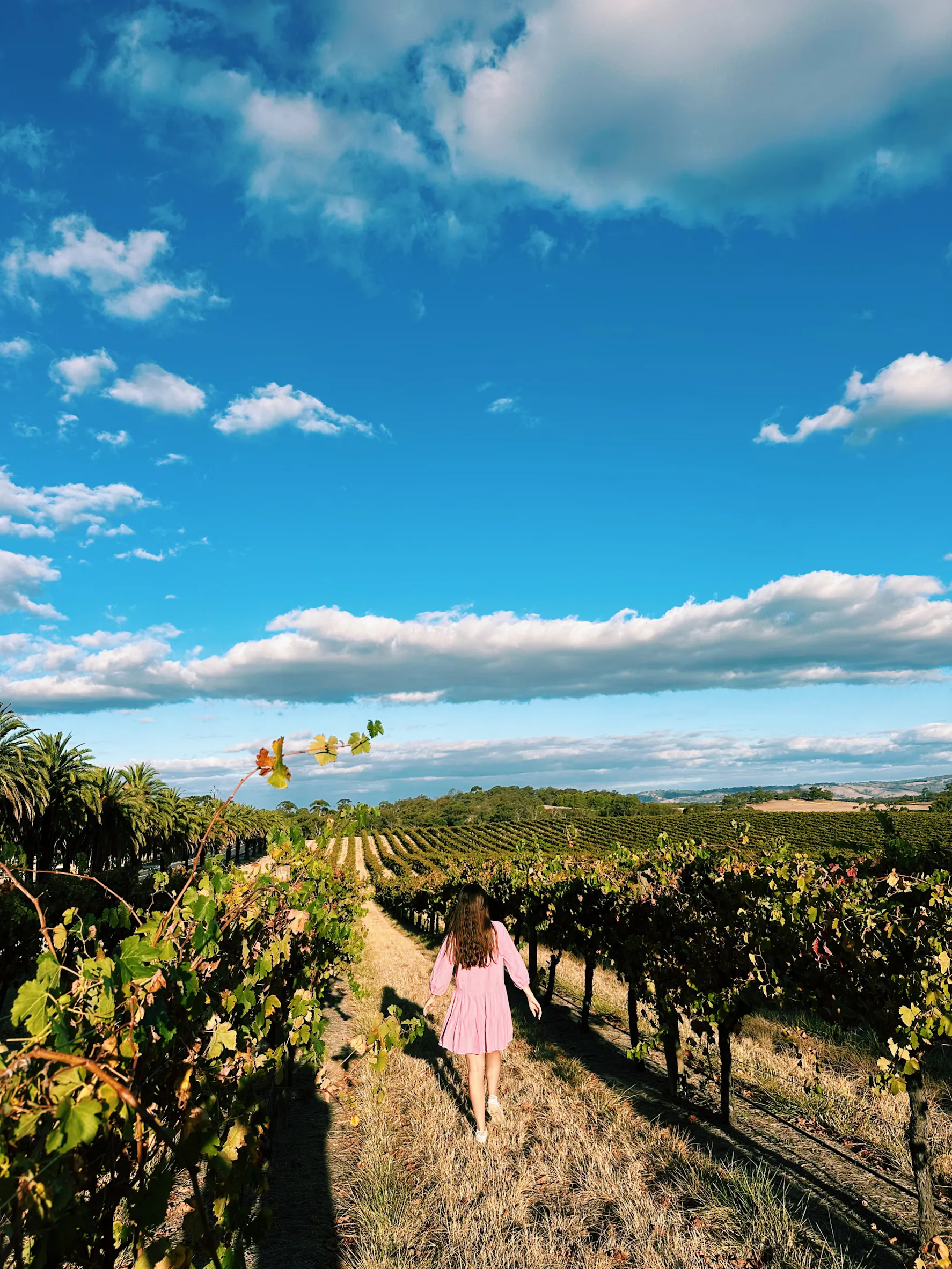 20 Of The Very Best Things To Do In Adelaide In 2026 | URBAN LIST ADELAIDE