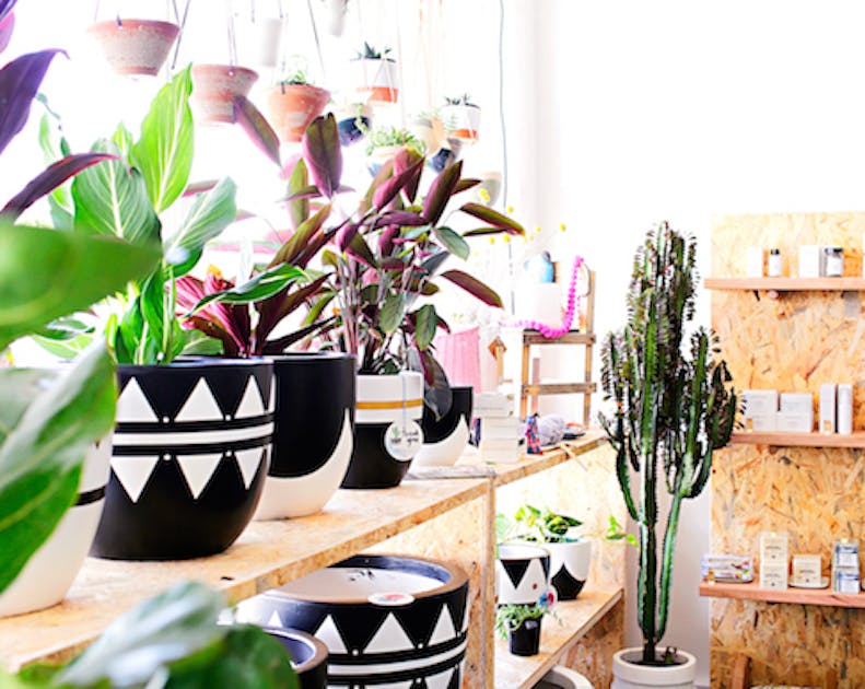 Salty Gold, South Fremantle | URBAN LIST PERTH