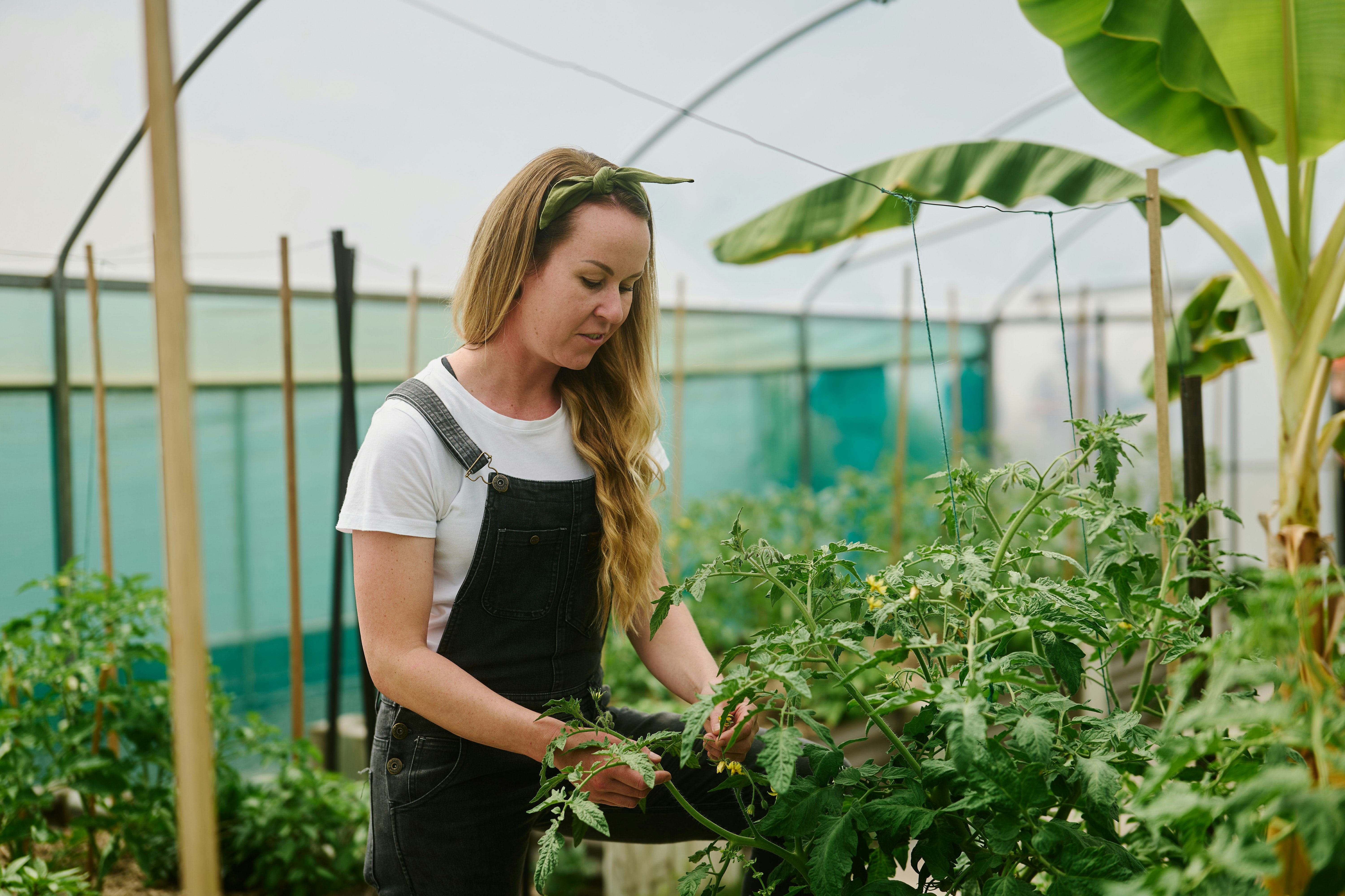 Destination Dining At Its Finest At Barragunda Estate With Simone Watts ...