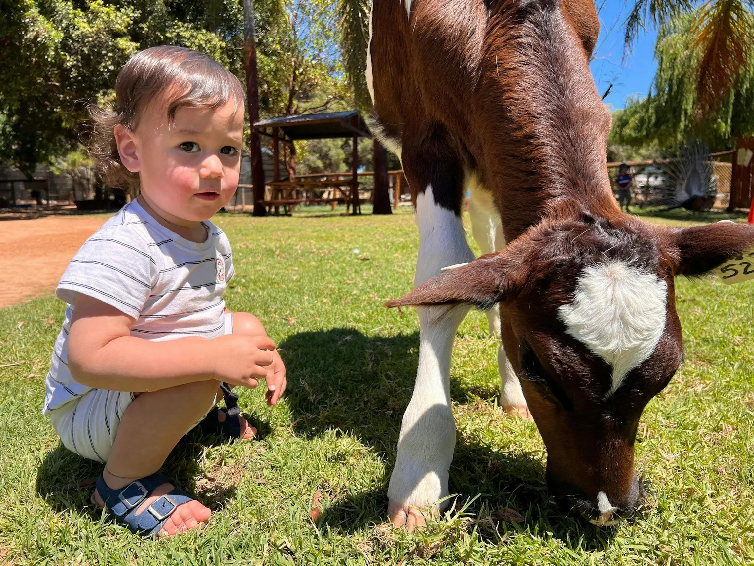 25 Of Best Things To Do In Perth With Babies And Toddlers (2026 Edition ...