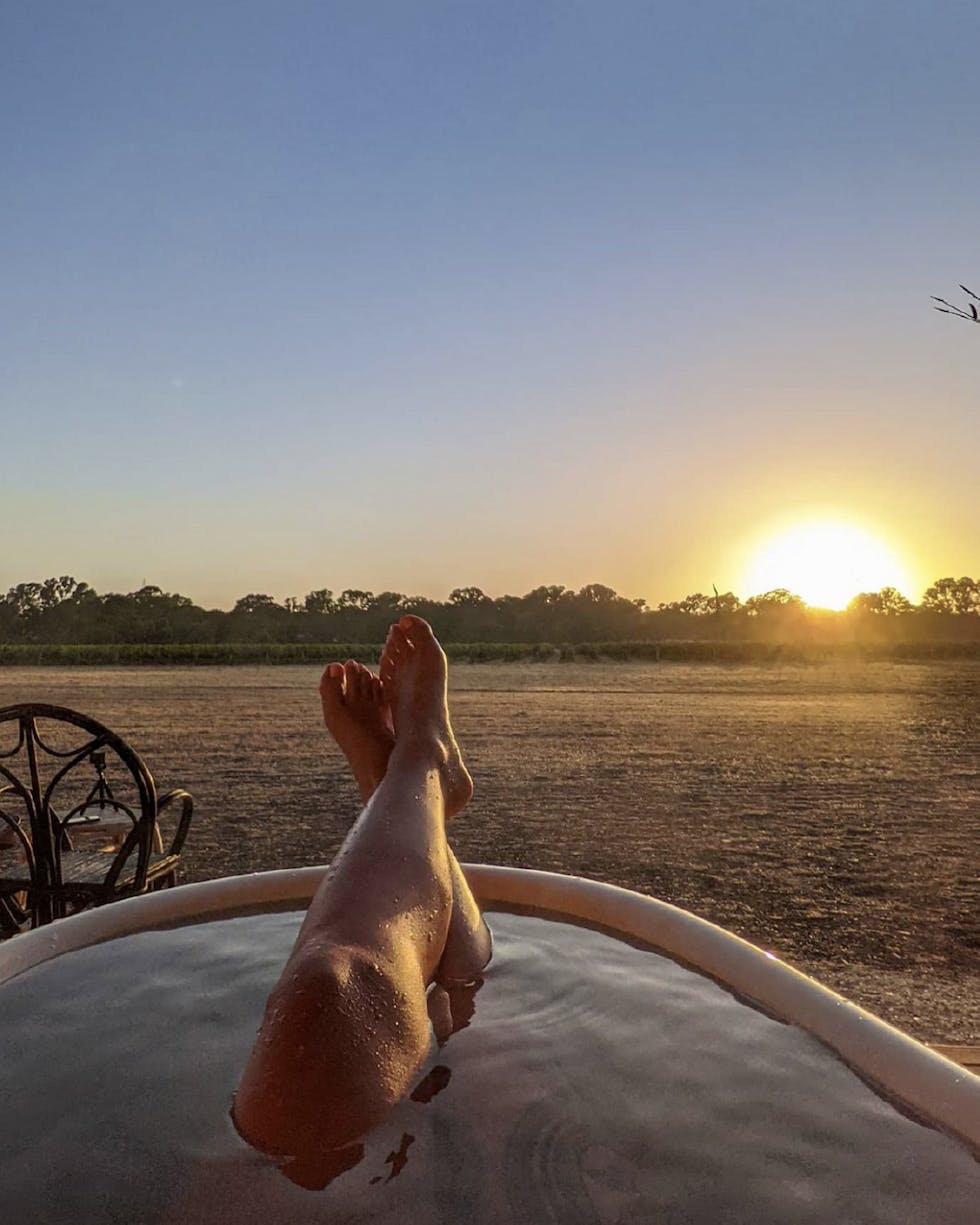 6 Reasons To Take Advantage Of Direct Flights To Bendigo This Spring ...