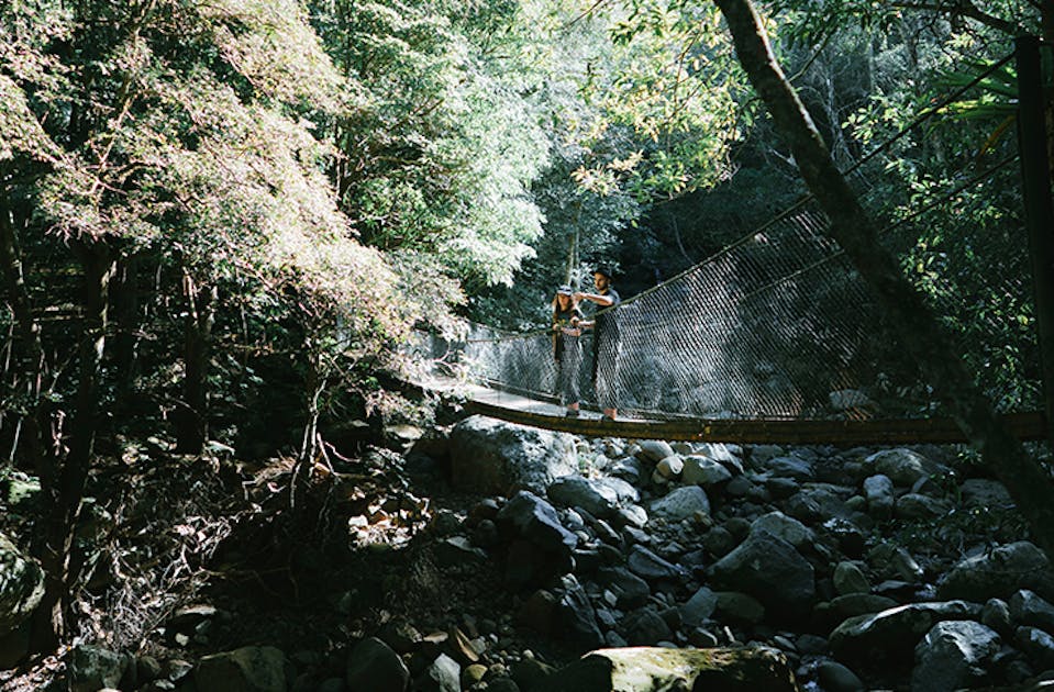 Soak Up Some Nature On 10 Of The Most Breathtaking Bushwalks Just 1 ...