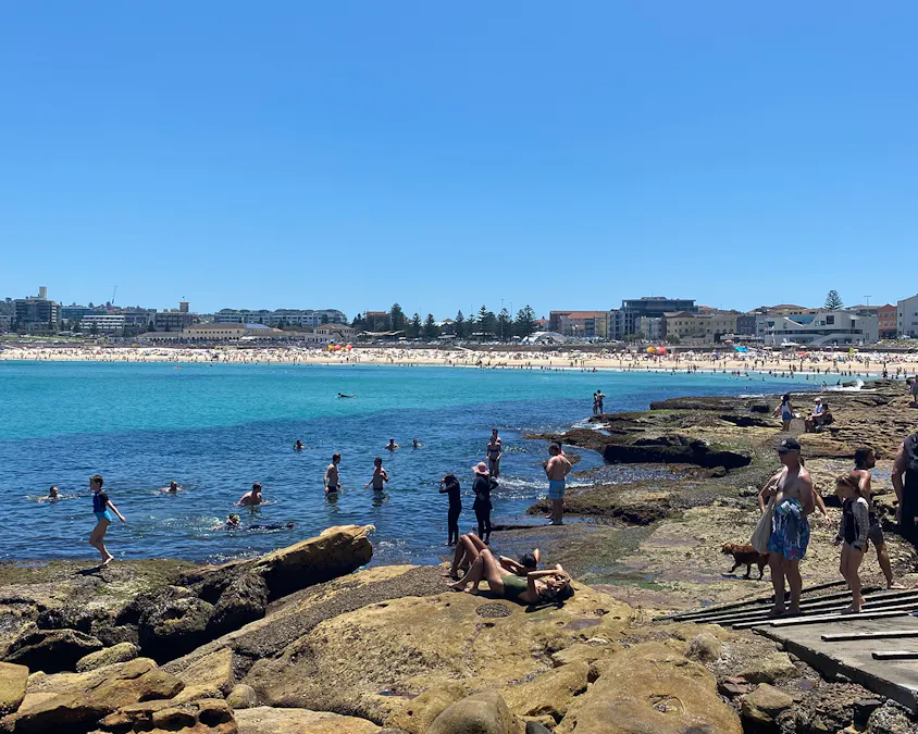 What To Eat, Drink And Do In Bondi This Summer | URBAN LIST SYDNEY