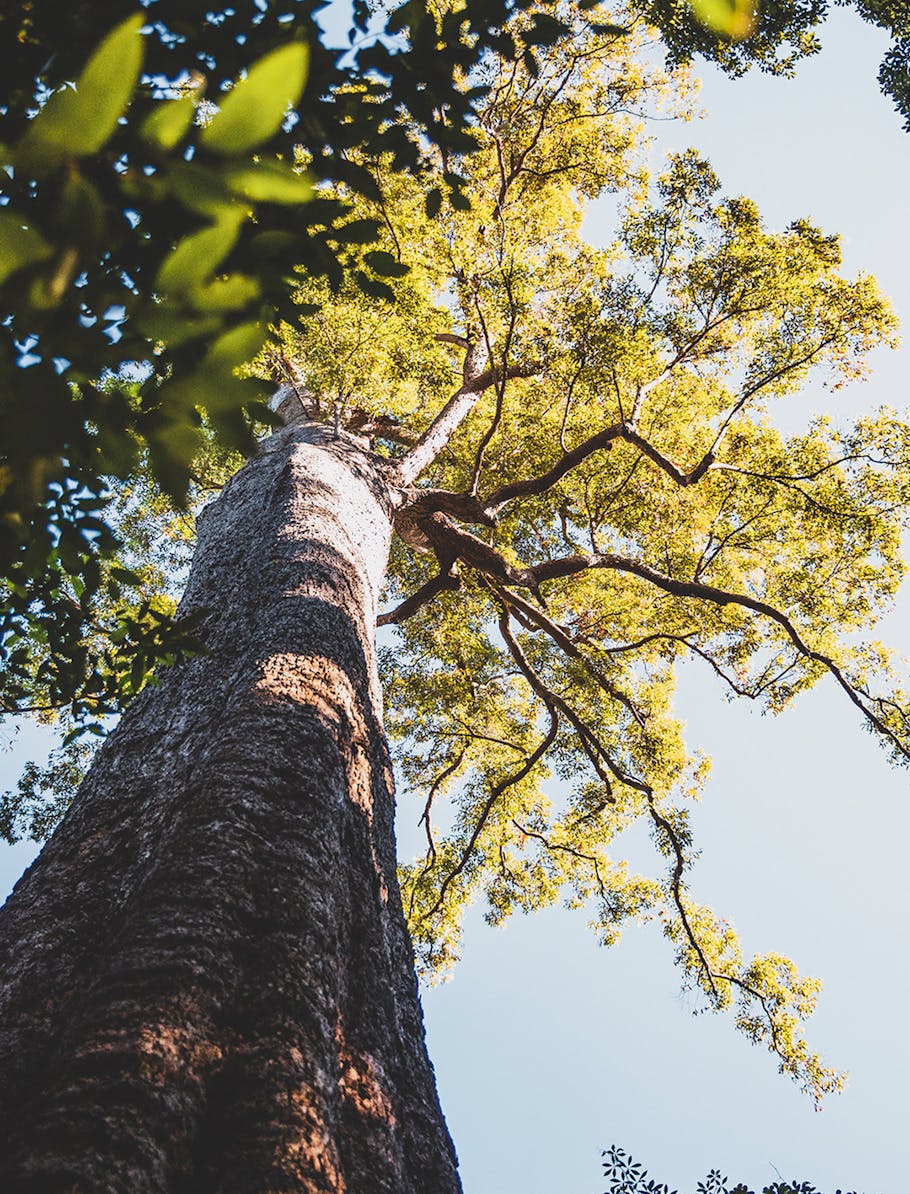 Step Off The Beaten Track With 7 Of The Most Adventure-Filled State ...