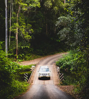 Guide To Bellingen | URBAN LIST SYDNEY