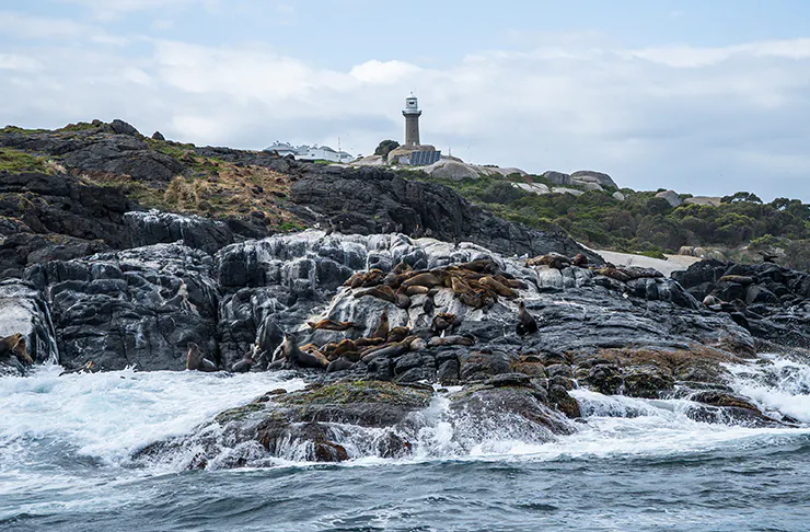 The Best Lighthouses In NSW | URBAN LIST SYDNEY
