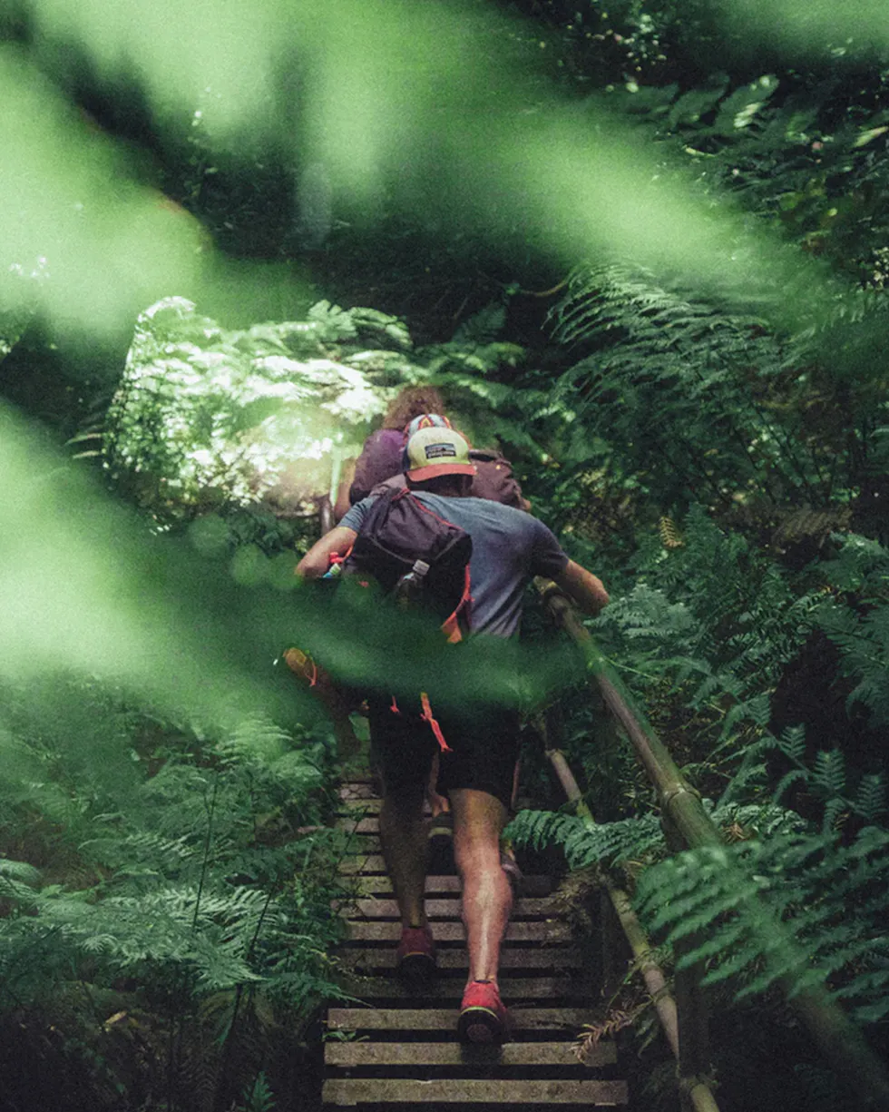 9 Of The Best Walks You Need To Do On The NSW South Coast | URBAN LIST ...