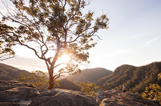 Take Your Bushwalk To New Heights With 7 Of The Most Mesmerising ...