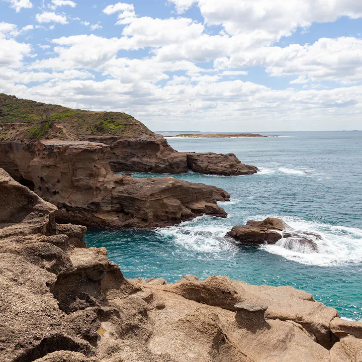 The Best Places To Go Whale Watching In Sydney And NSW | URBAN LIST SYDNEY
