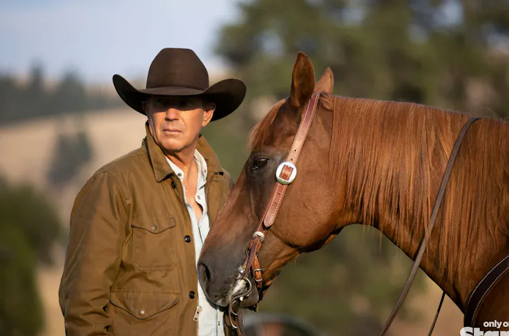 60 Of The Best Shows On Stan To Stream In November 2022 | Urban List